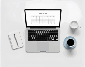Merit Matrix for Small Companies: Scalable Templates